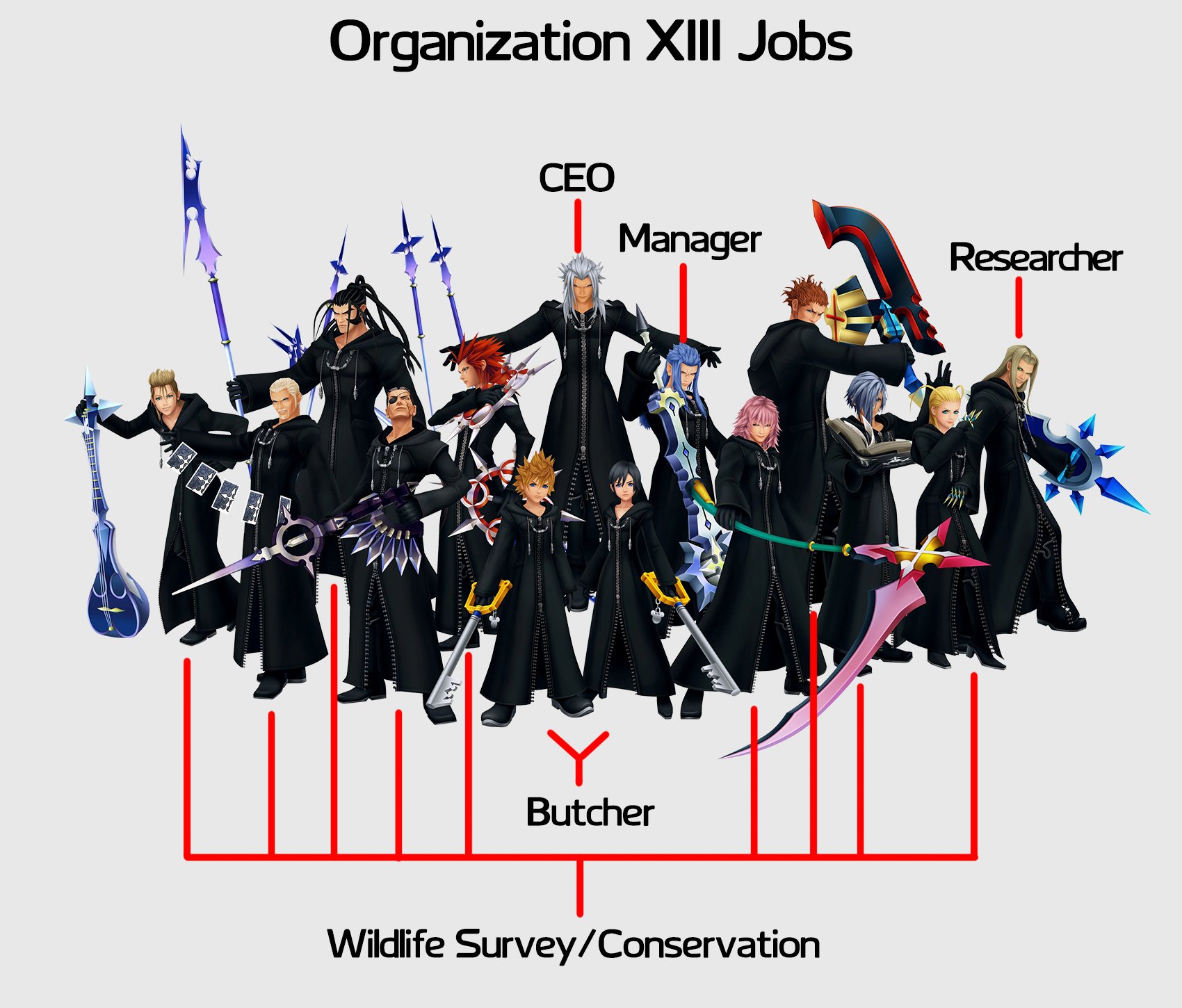 Organization Xiii