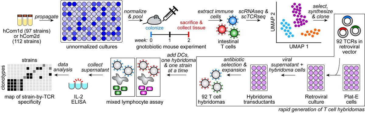 Today we report a detailed map of interactions between the immune ...