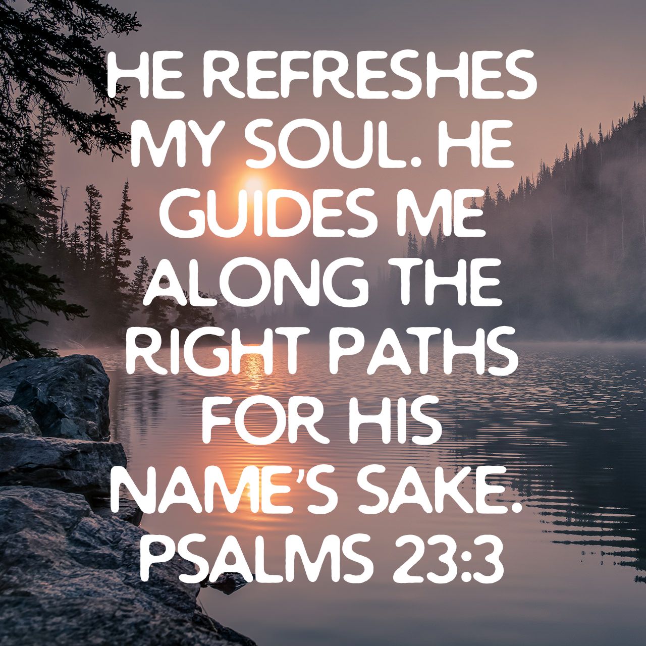 Psalm 23:3 Niv