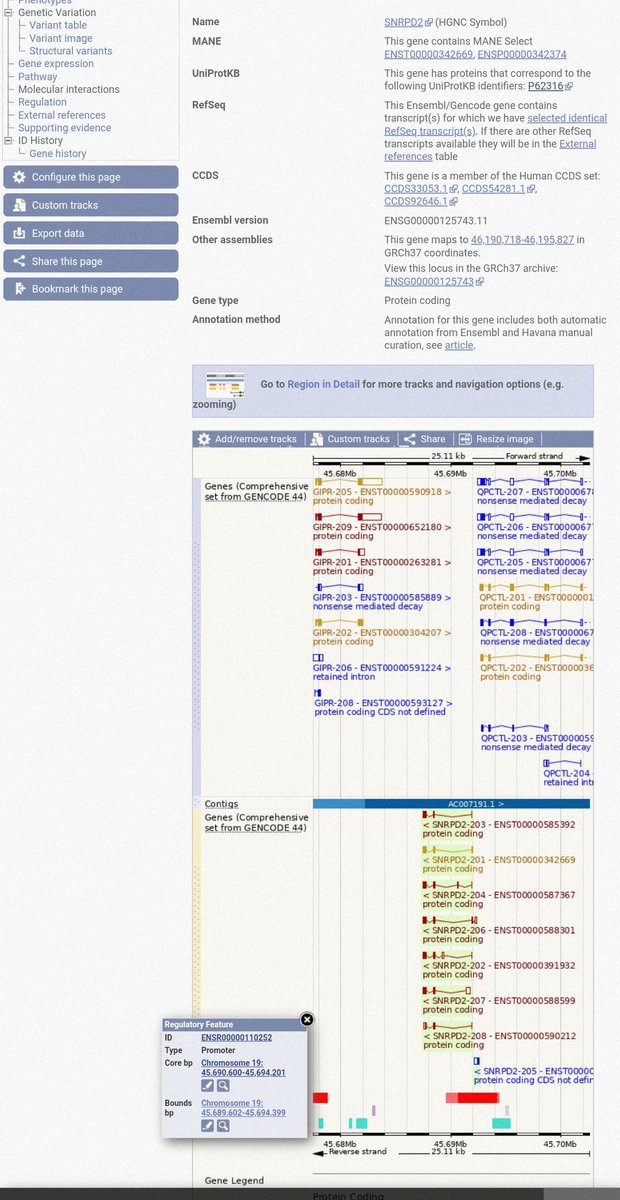 @DlakaDarko @AllisaBlue @JCPEREZCODEX @Jikkyleaks @Doctor_I_am_The ...