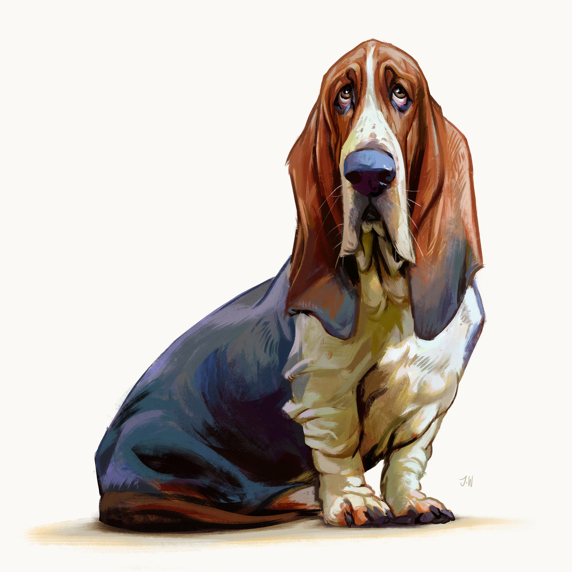 Basset Hound Puppies Drawing
