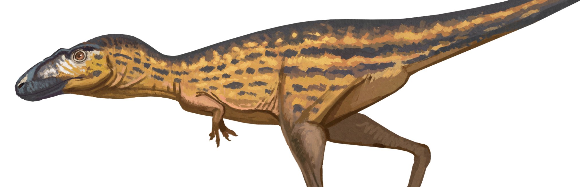 Shanshanosaurus