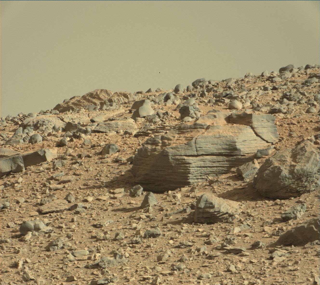Mars Rover Curiosity Raw Images
