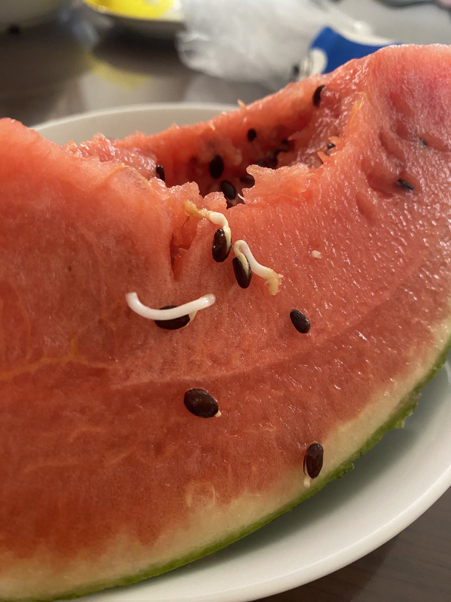 JunKo(@aloha_emma) - Twilog