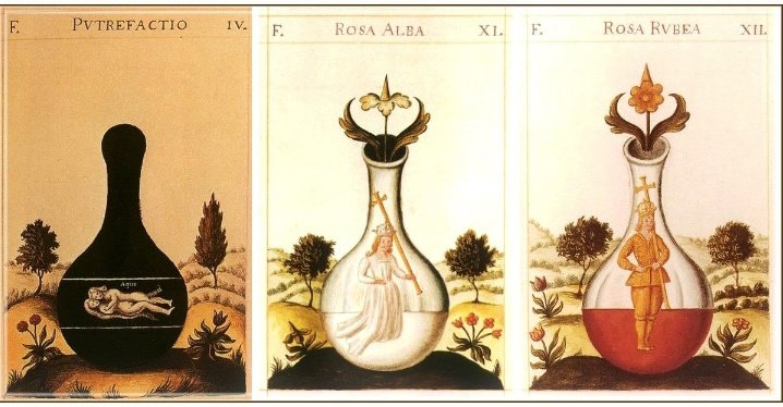 Alchemy: The Black Art 🧵 The Seven Operations of the Alchemical Opus ...
