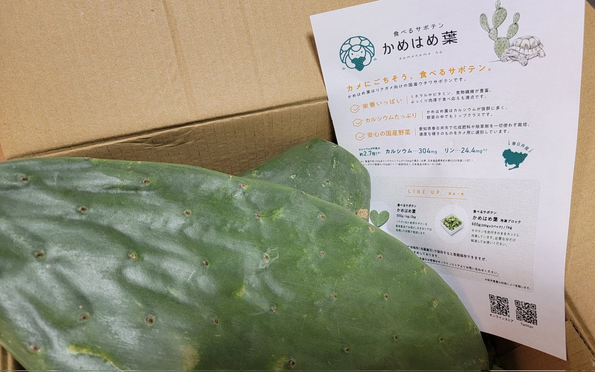 Mika Ishiwata(@mikarin_10) - Twilog