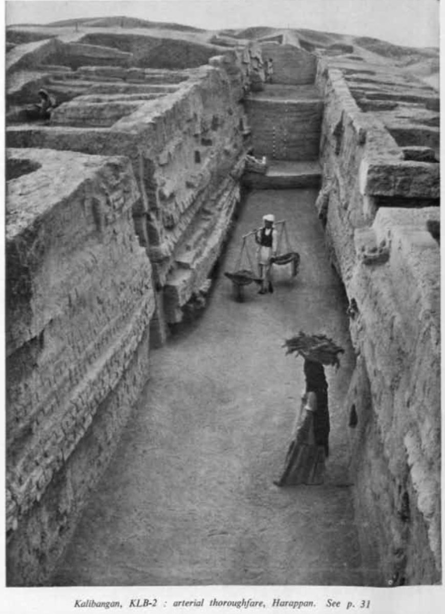 1 What we call Indus Valley Civilization today should have been named ...