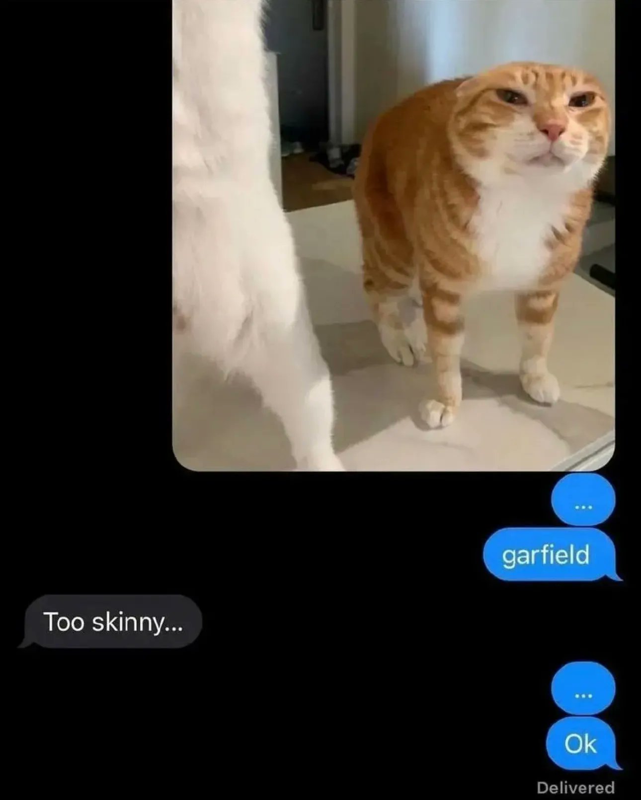 Too Skinny Meme