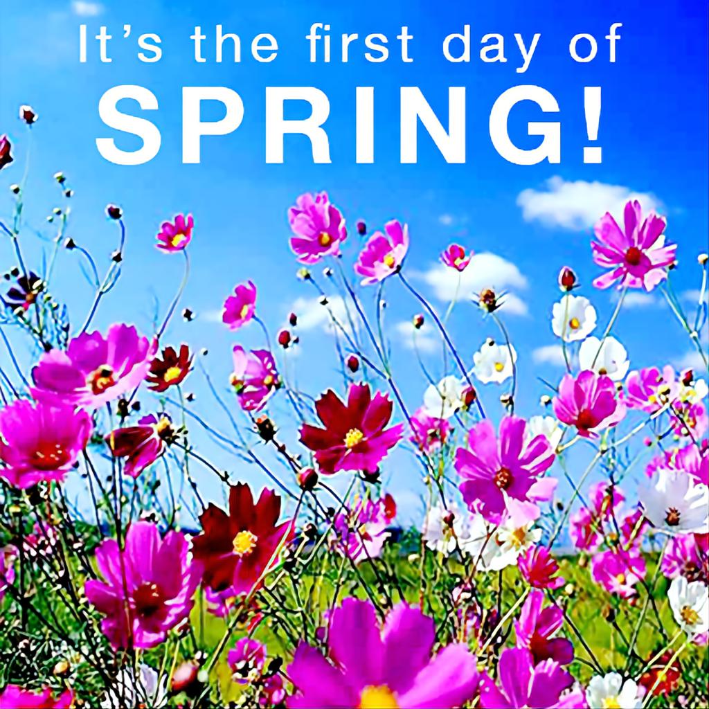 Happy Spring Day