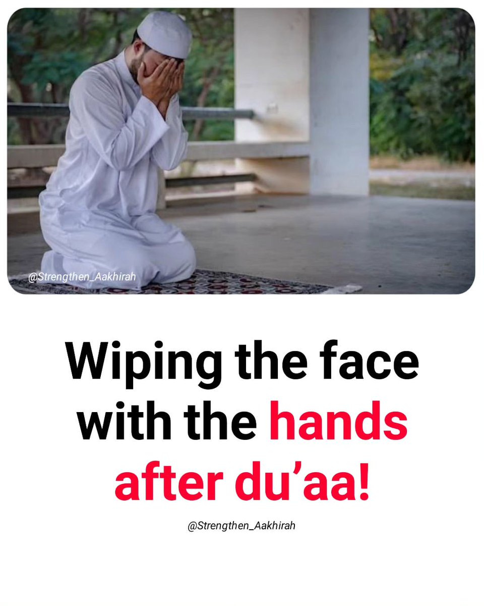 Thread by @7signxx on Thread Reader App – Thread Reader App