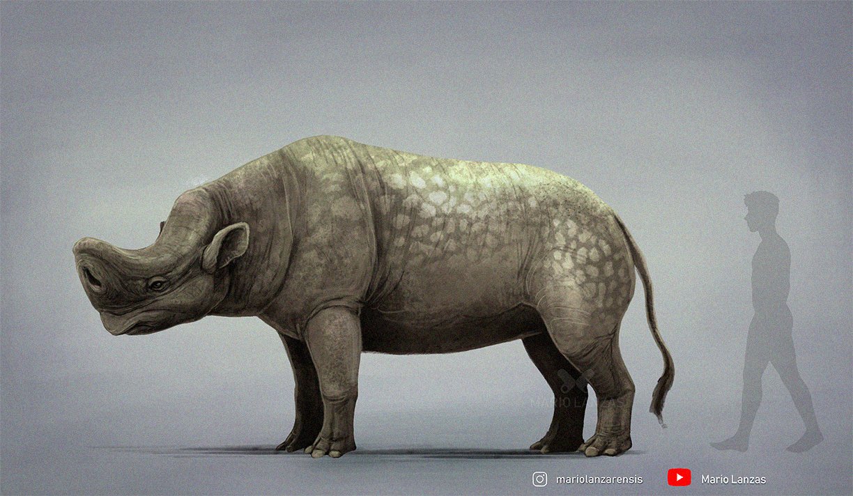 Embolotherium