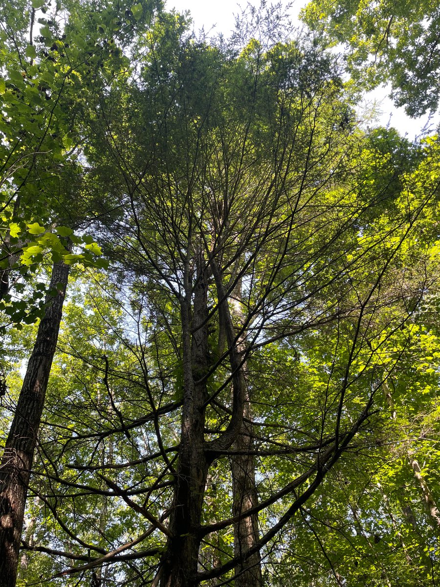 Thread by @roving_brah on Thread Reader App – Thread Reader App