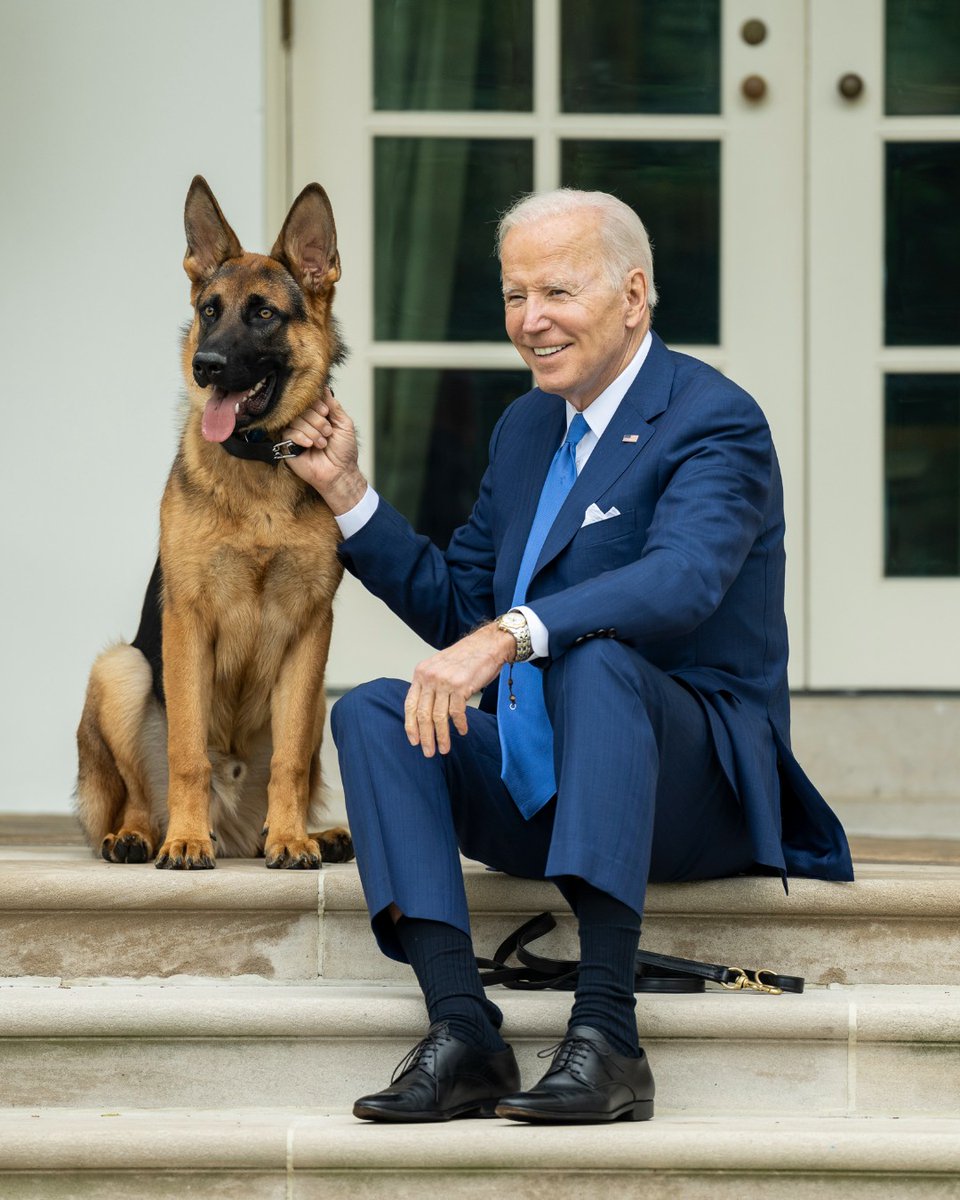 Join us in wishing First Dog Commander a happy birthday! - Democratic ...