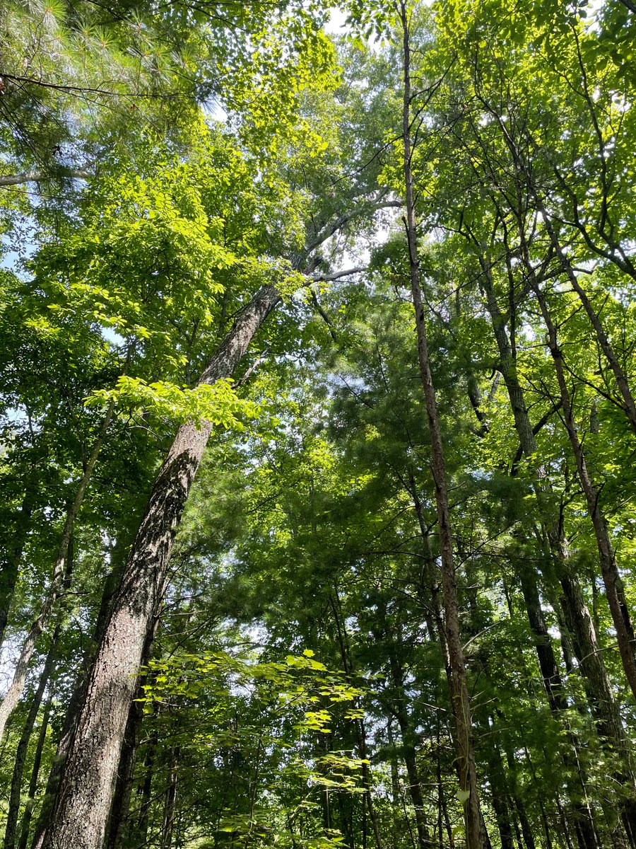 Thread by @roving_brah on Thread Reader App – Thread Reader App