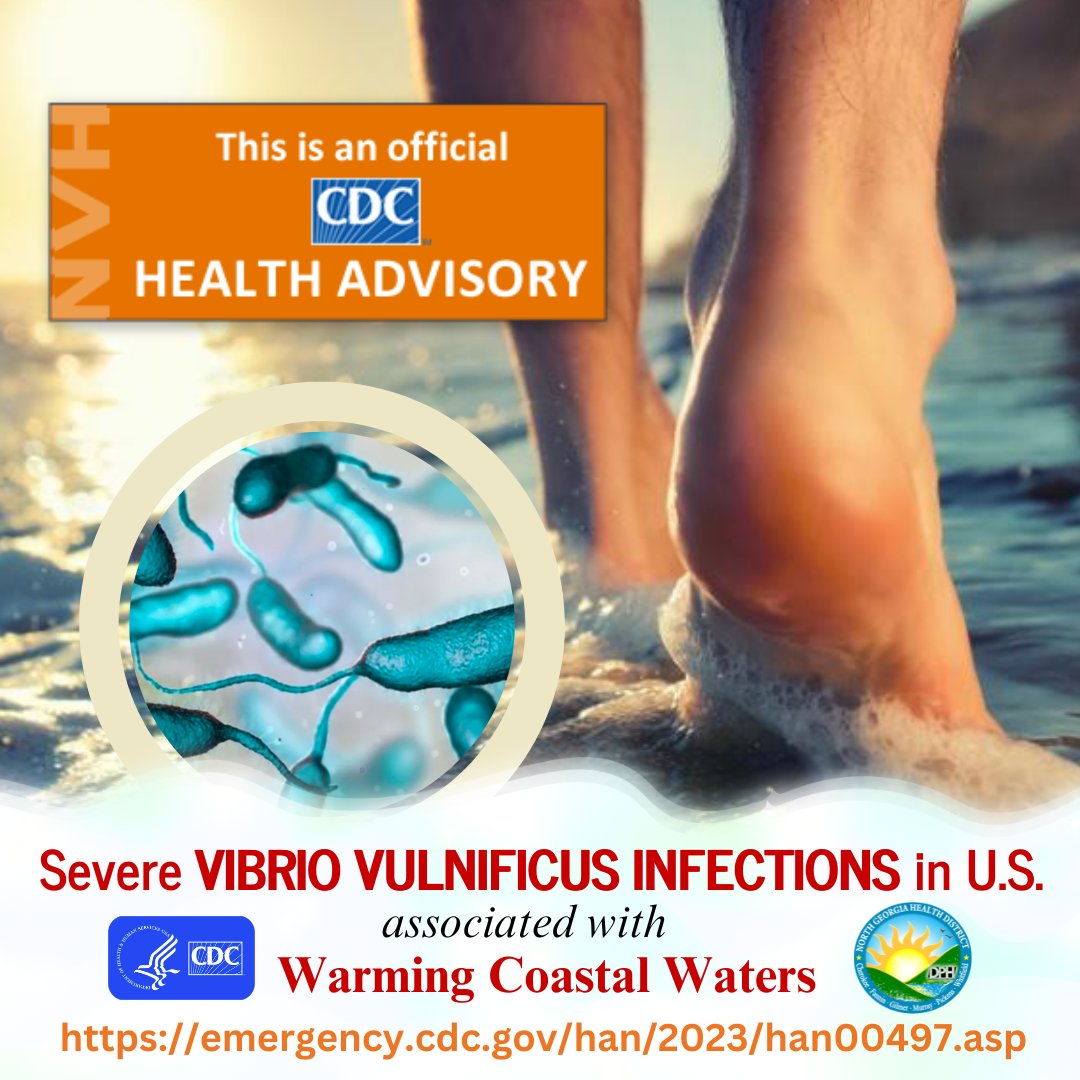 Vibrio Vulnificus