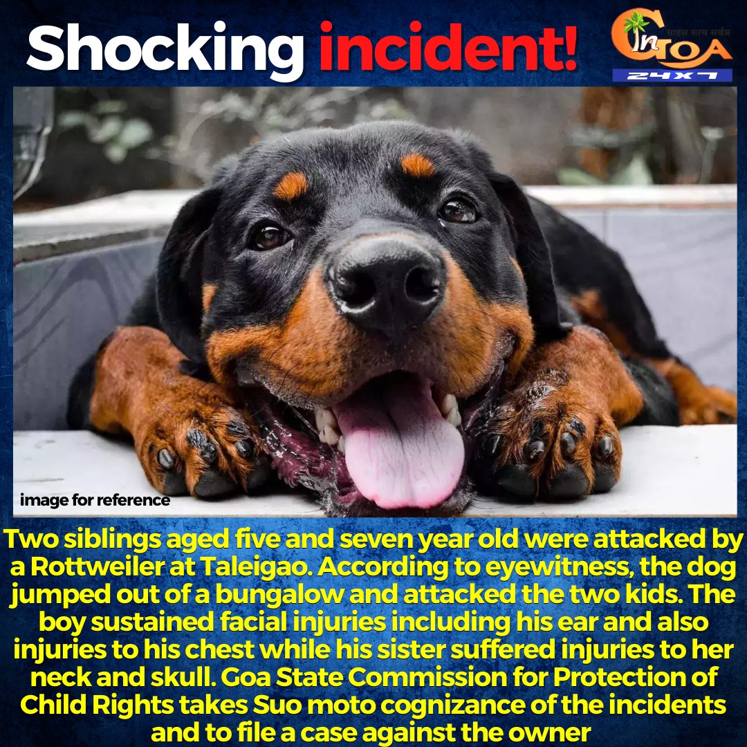 Dog Rottweiler Attack