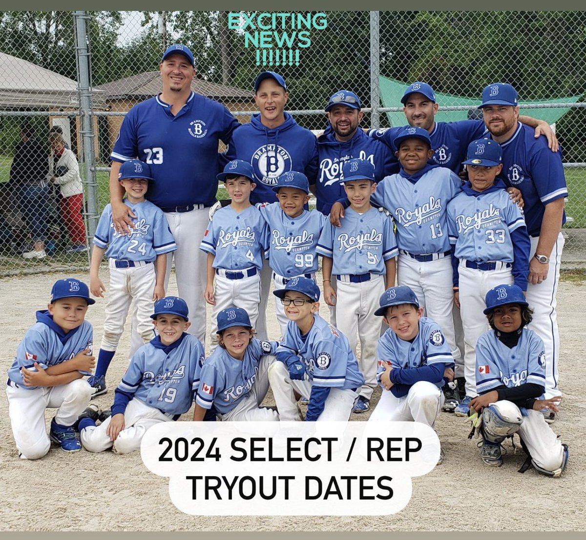 Brampton Royals Logo