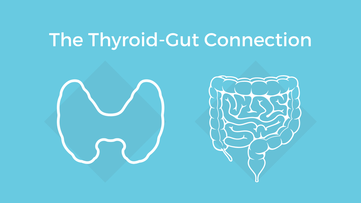 Gut health and thyroid health are connected. If you’re having issues ...