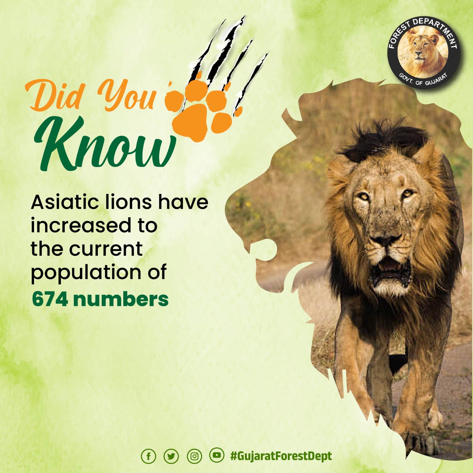 Gujarat Forest Department Logo No Selfie With Lions: Gujarat Forest