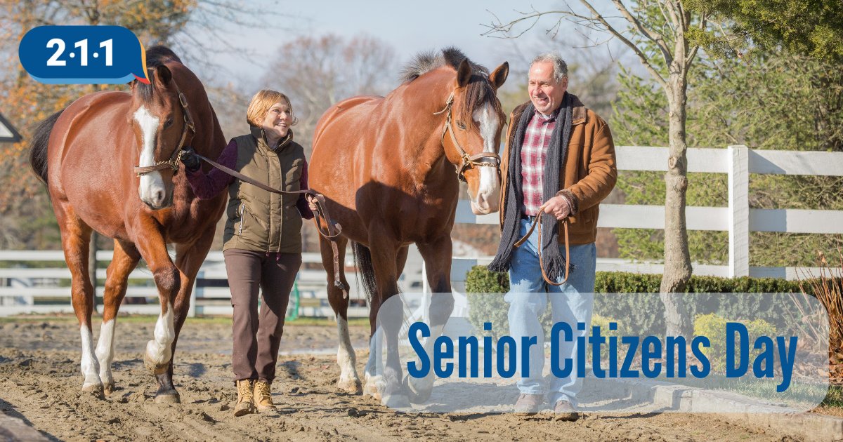 Kentucky 211 | Connecting You with the Resources You Need