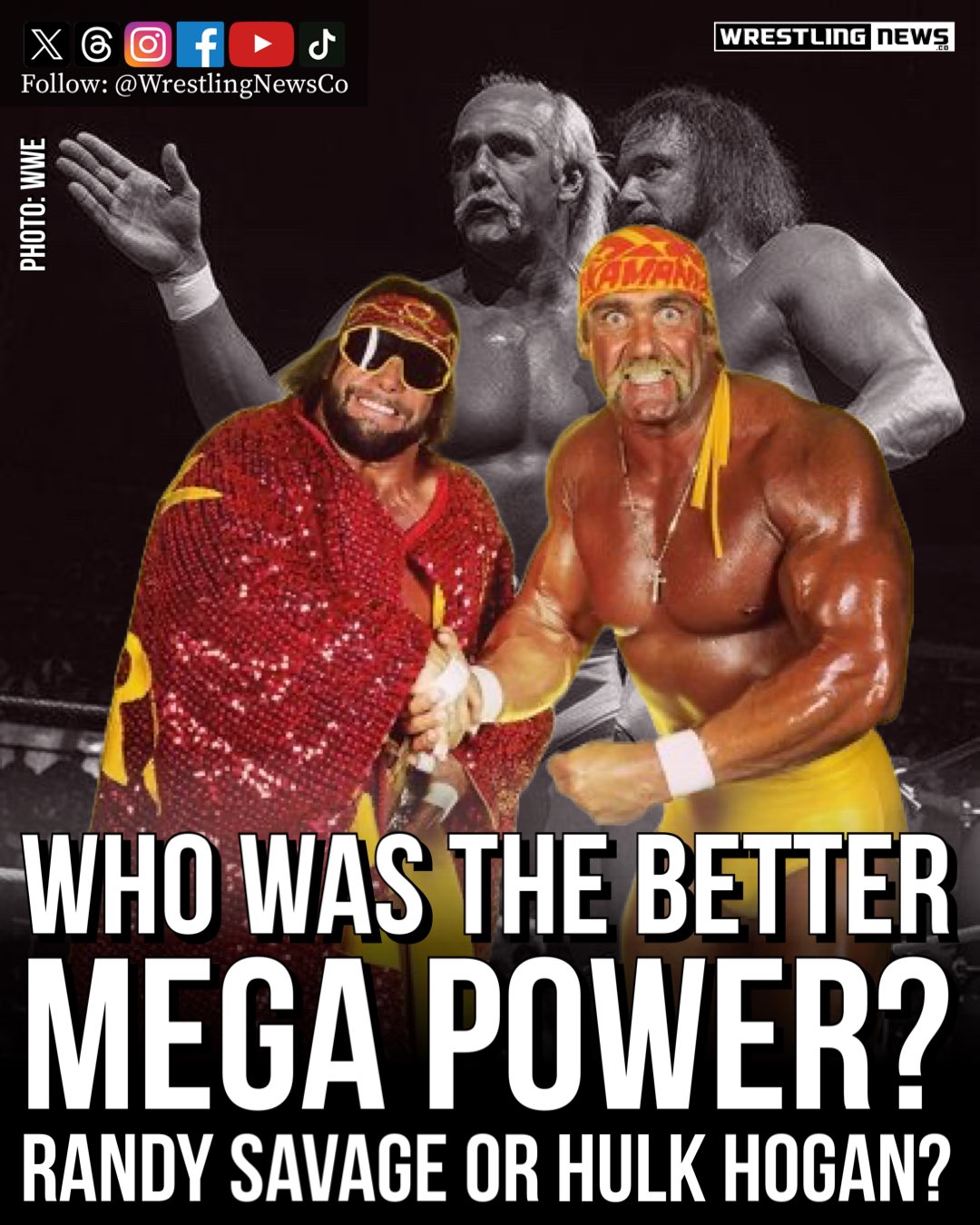 Randy Savage Hulk Hogan