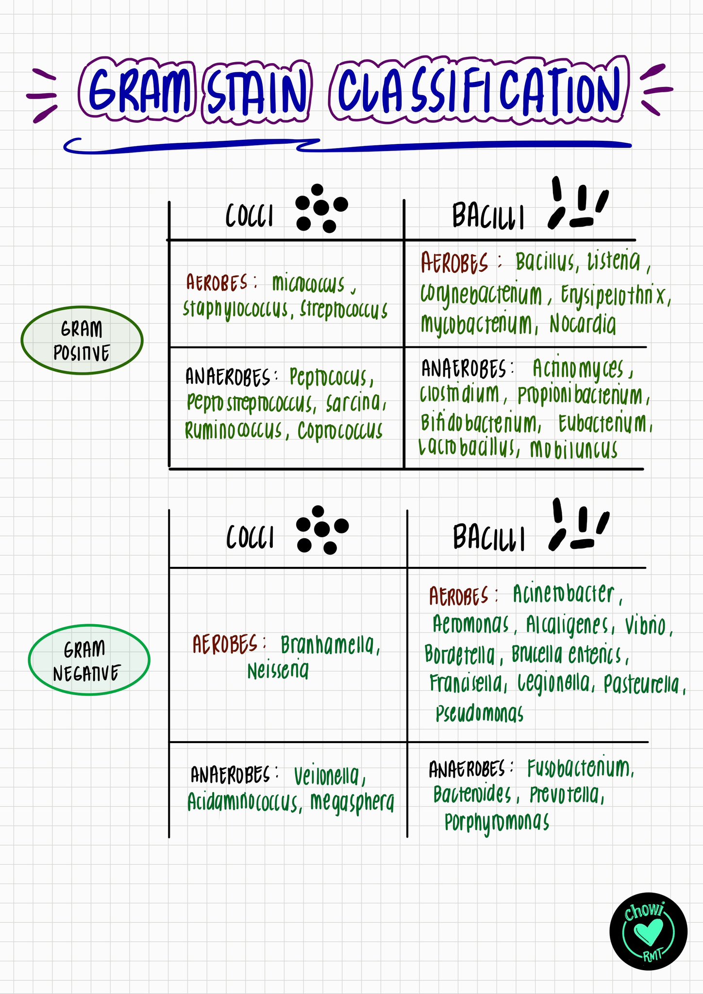 Gram Stain Chart