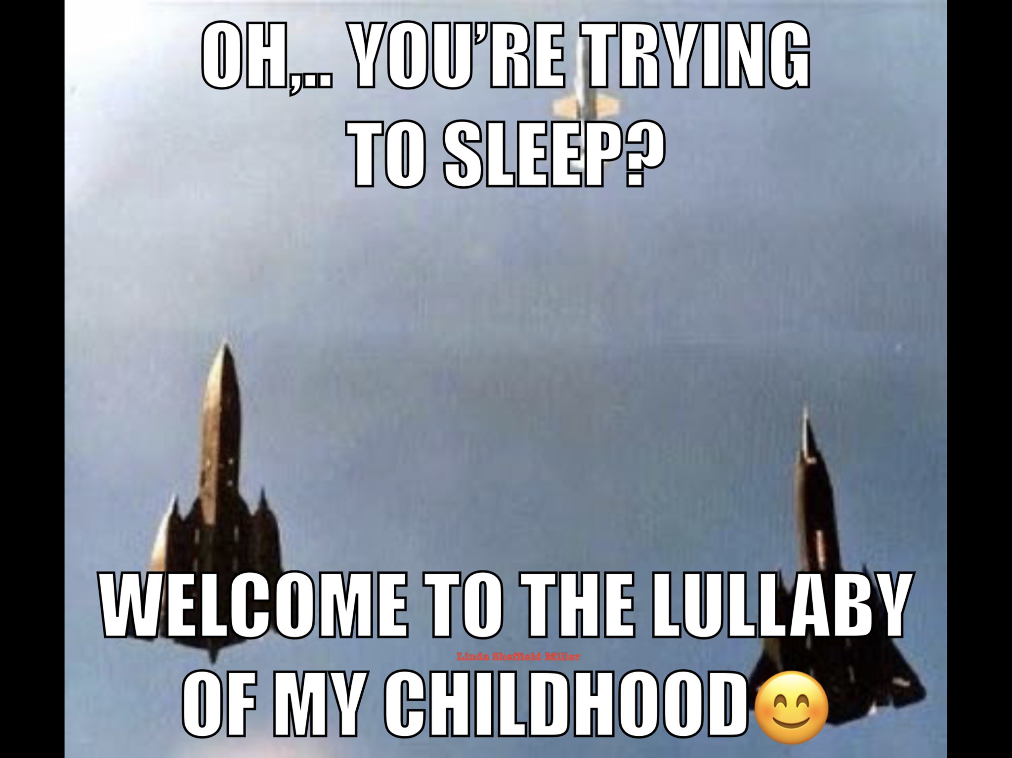 Oh You Are Welcome Meme