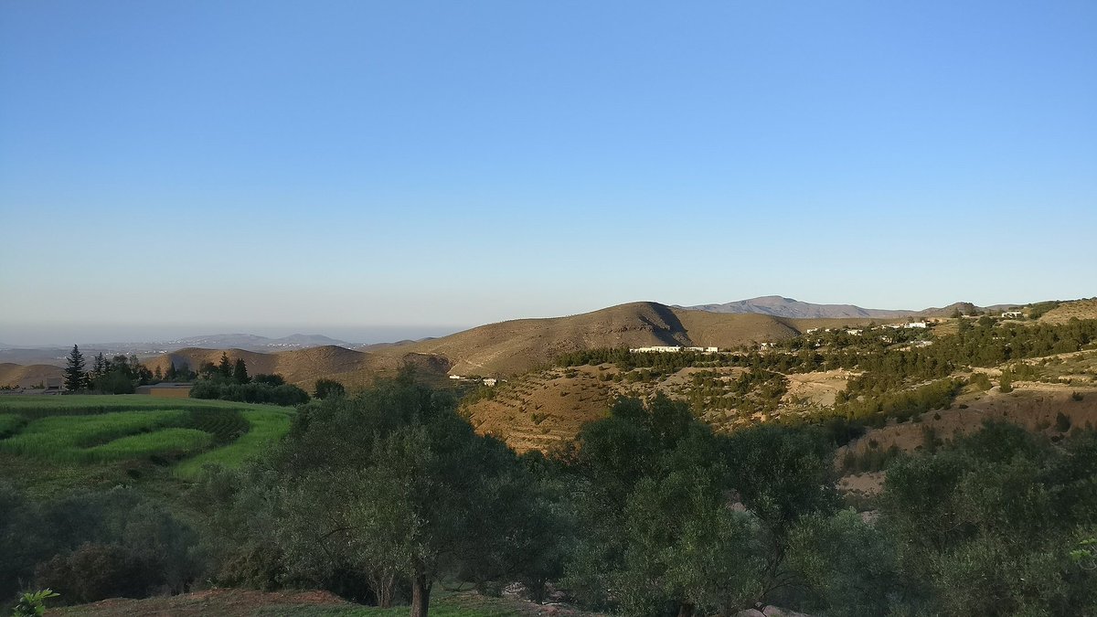 [Thread] Les généalogies des dynasties berbères - Thread from North ...