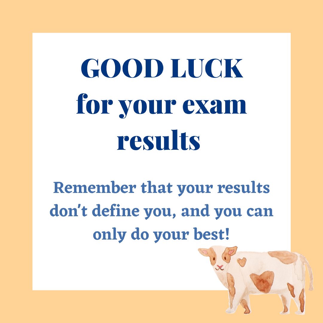 Good Luck On Exam Results