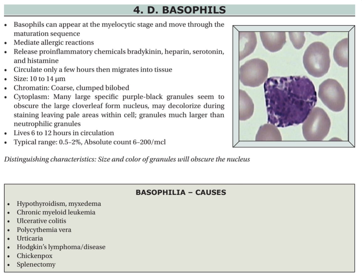 Basophilia Causes Understanding AZZOPARDI PHENOMENON / EFFECT