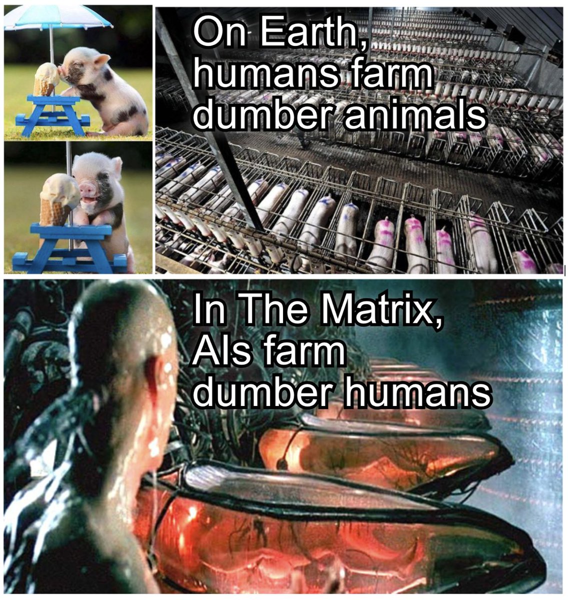 Matrix Human Farm