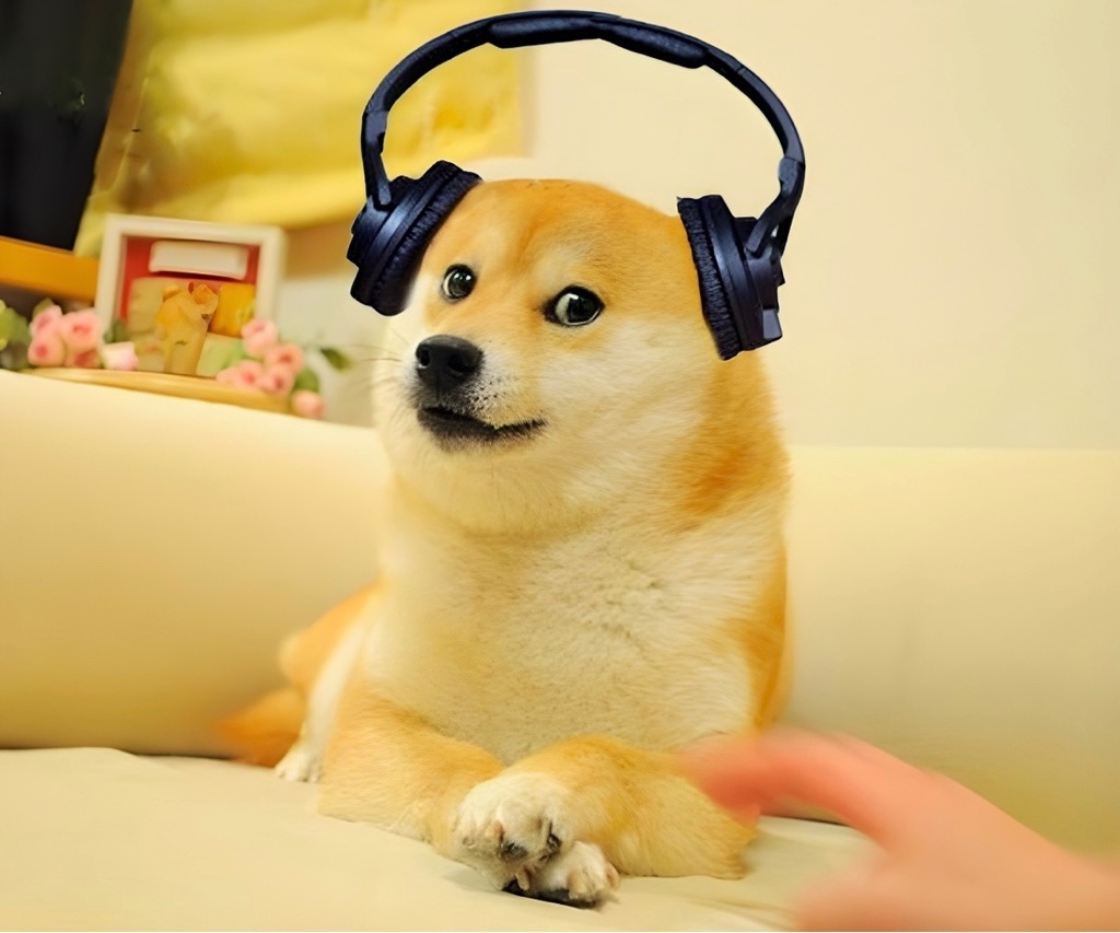 Memes Doge Song Doge (meme) Wikipedia