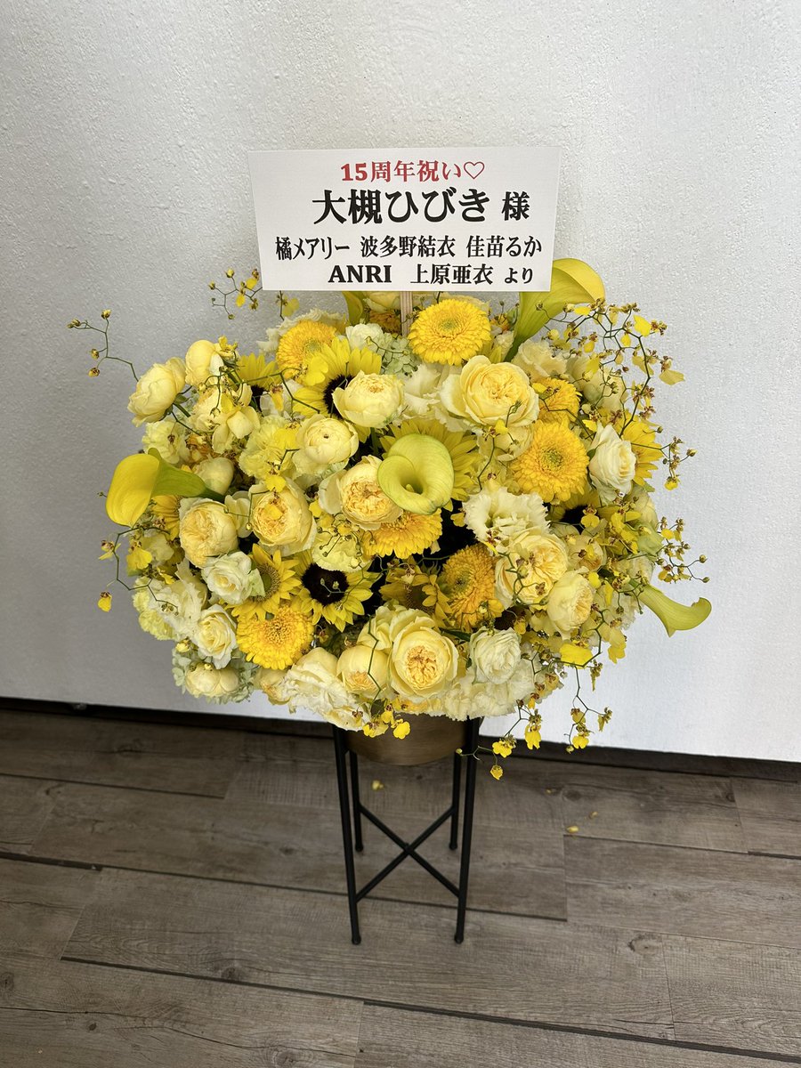 Yui Hatano Wonder Lady