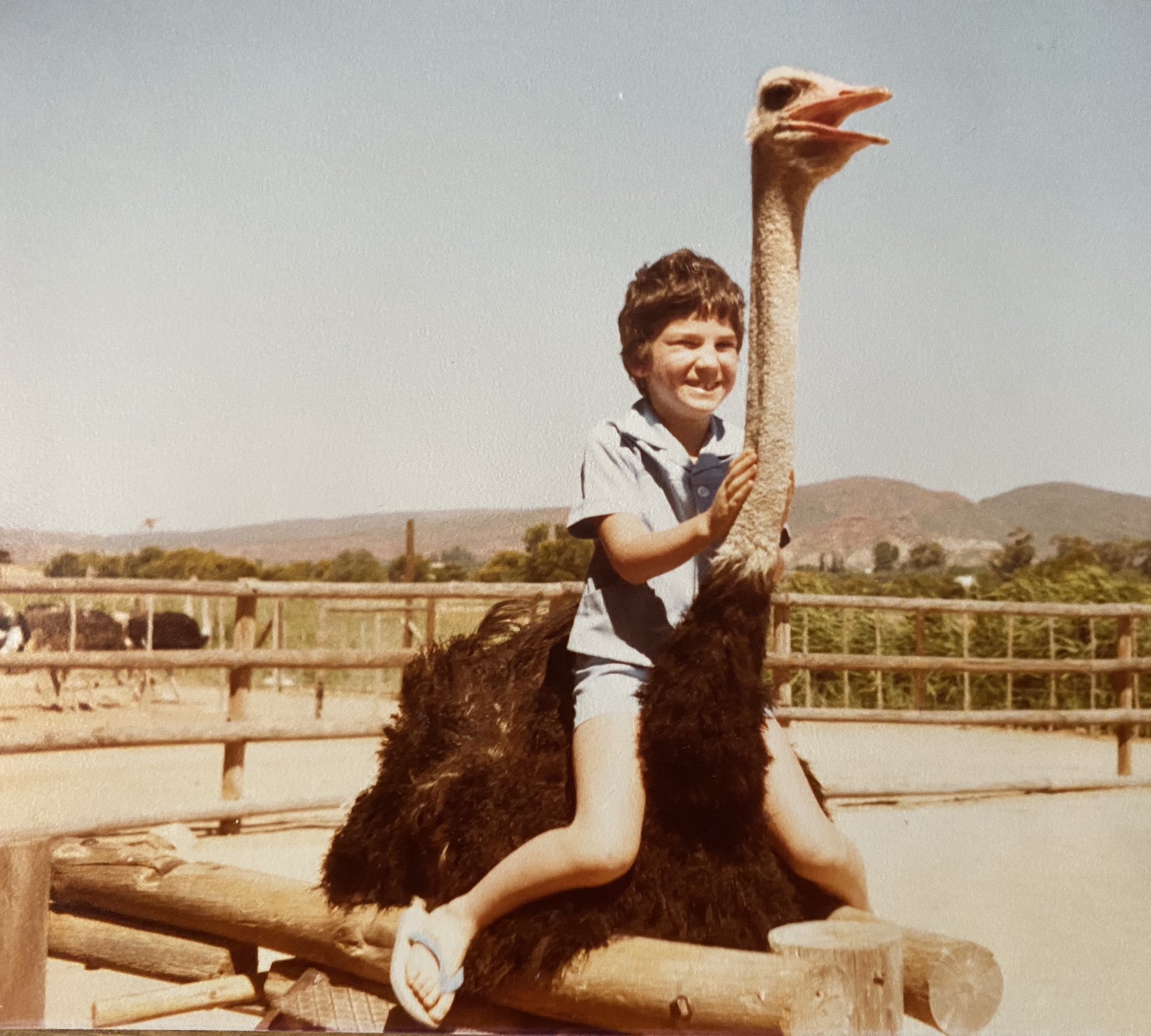 Riding Ostrich