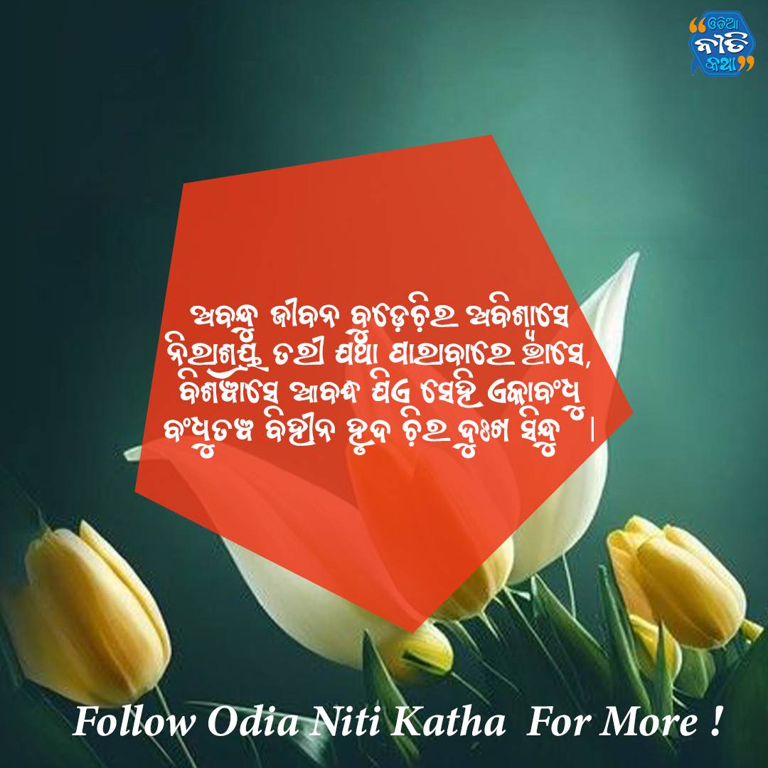 Odia Moral Quotes Follow 👉 @odia.inspiration For Daily Motivational