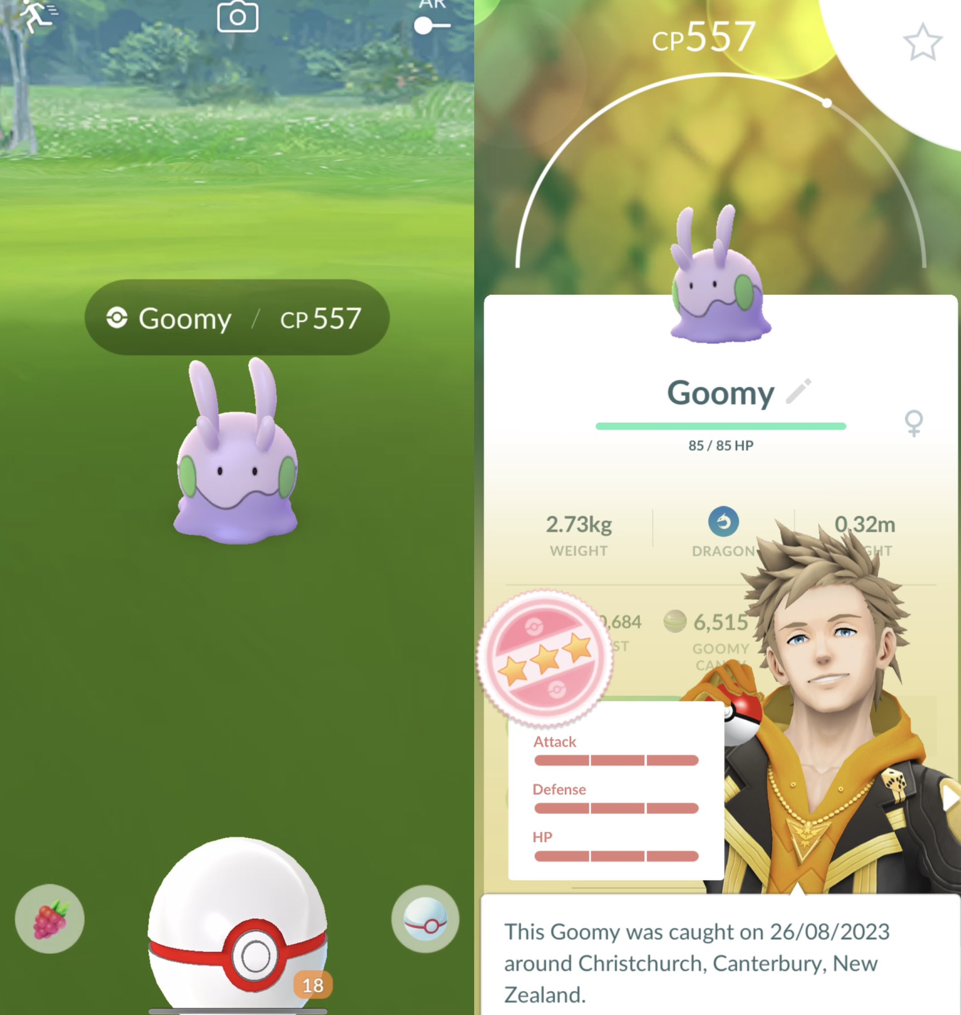 Shiny Goomy