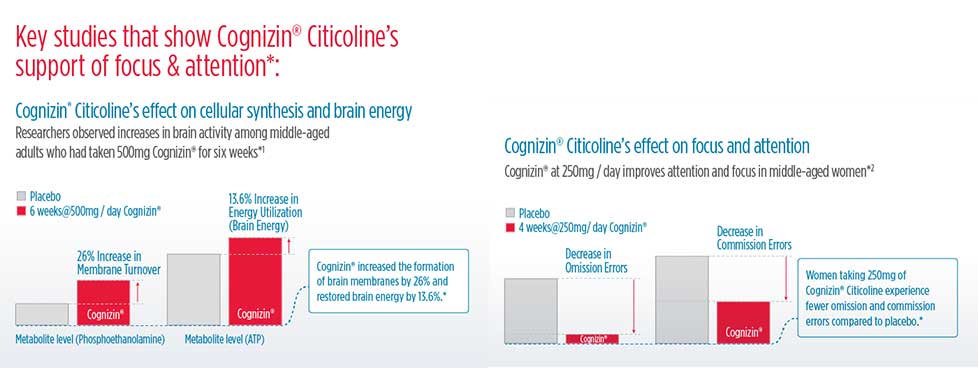 The God Mode Cognition Stack - Memory - Learning - Verbal Fluency - Motivation & Focus THREAD 🧵 ...