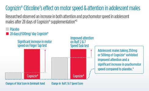 The God Mode Cognition Stack - Memory - Learning - Verbal Fluency - Motivation & Focus THREAD 🧵 ...