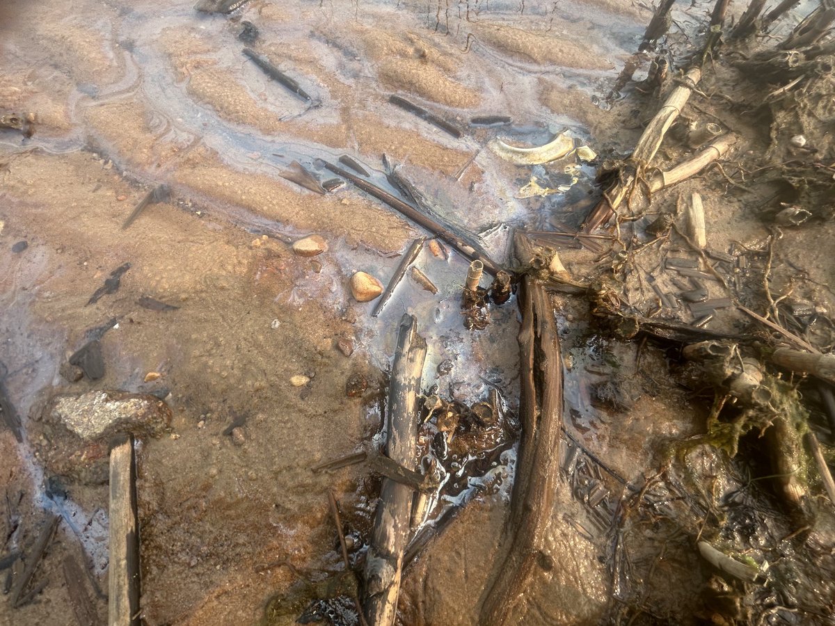 Suspended Matter Water Pollution