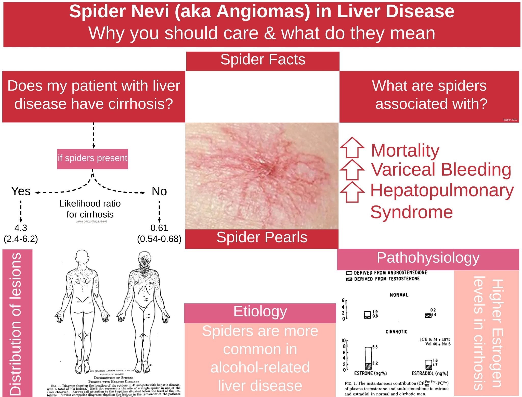 Spider Telangiectasia Liver