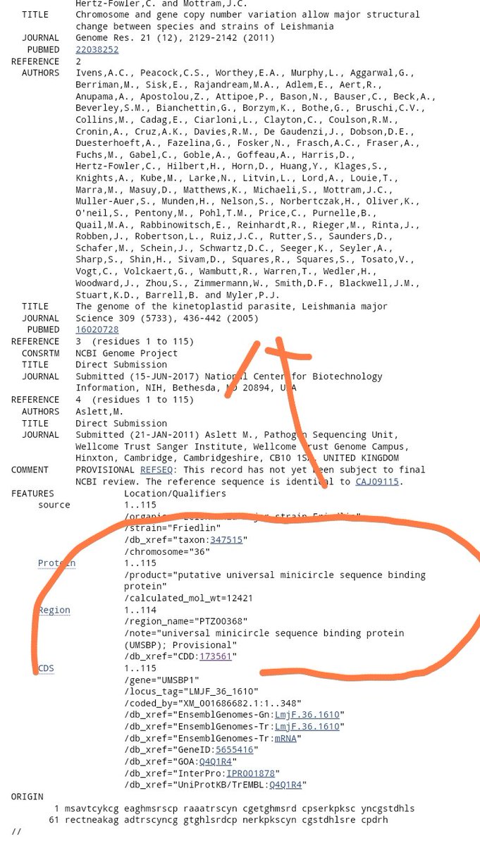 Everywhere&everykind work&sorts "scientists"show&made a huge no.of ...