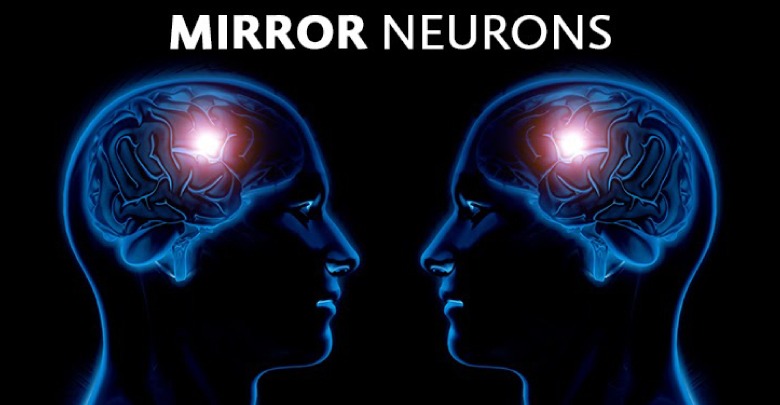 Mirror Neurons Are Found Where