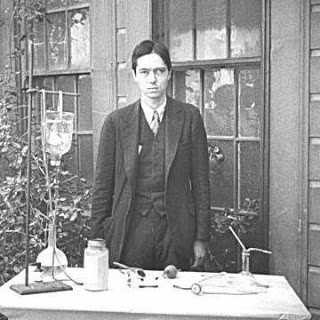 Thread by @Araknne1 on Thread Reader App – Thread Reader App