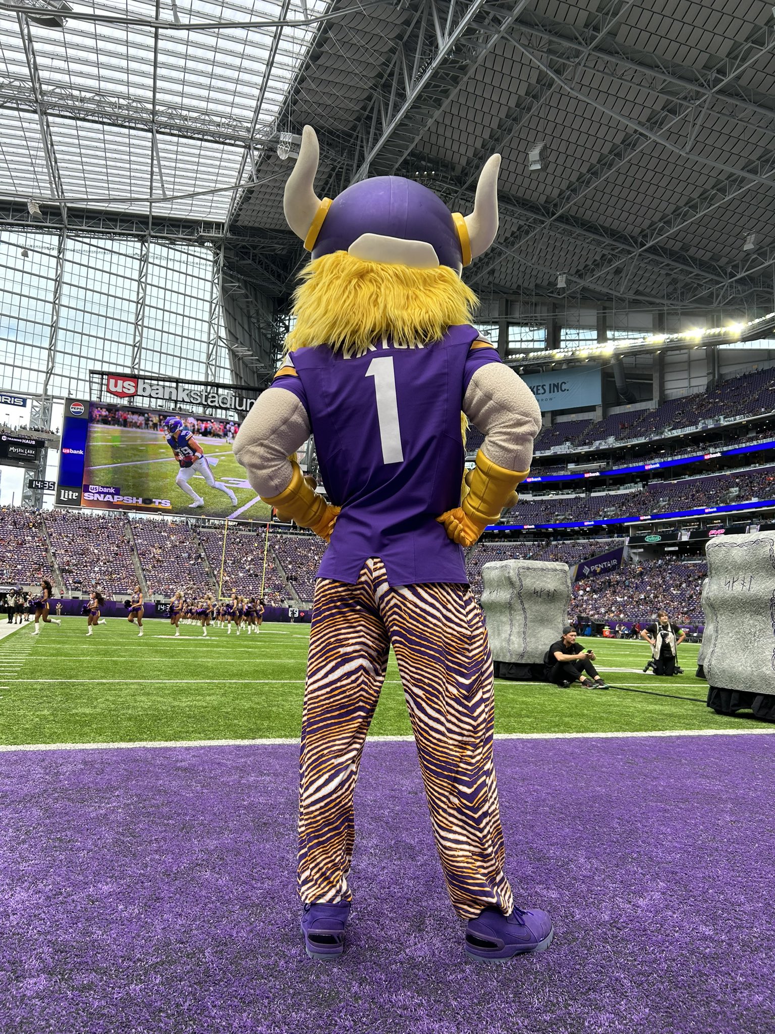 Viktor Vikings Mascot