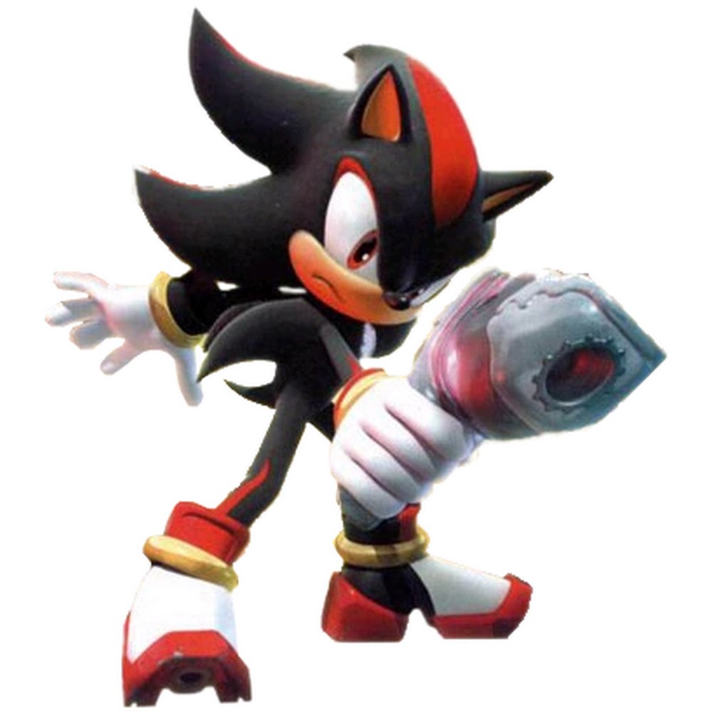 Shadow The Hedgehog And Rarity