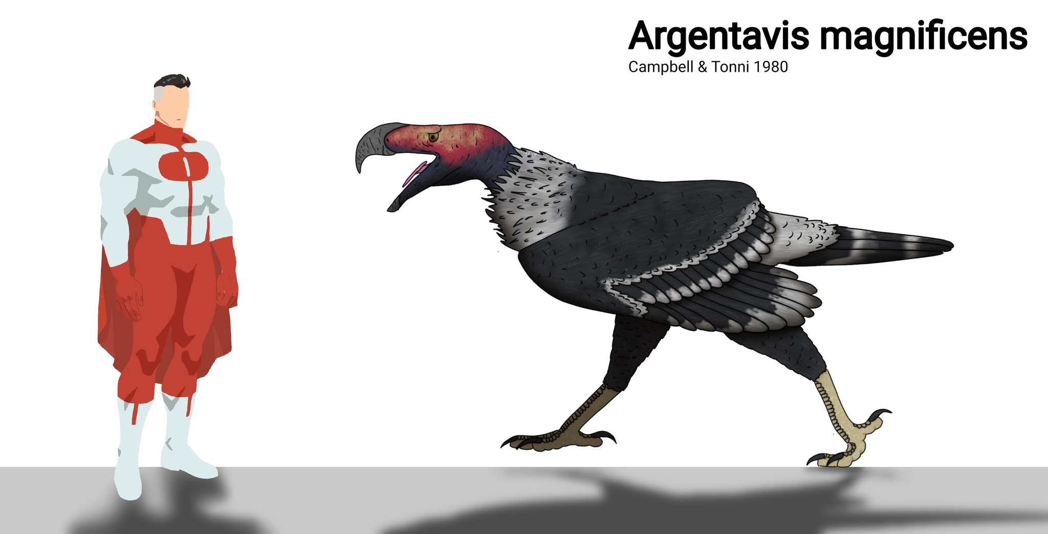 Esqueleto De Argentavis Magnificens Historia Y Revisión De Los