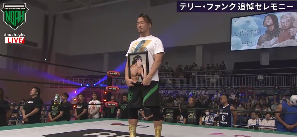 Terry Ring Wrestler