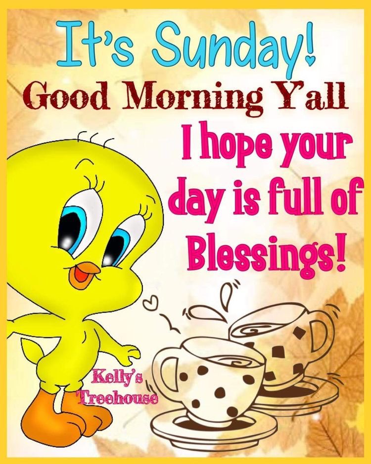 Good Morning Everyone Have A Nice Day