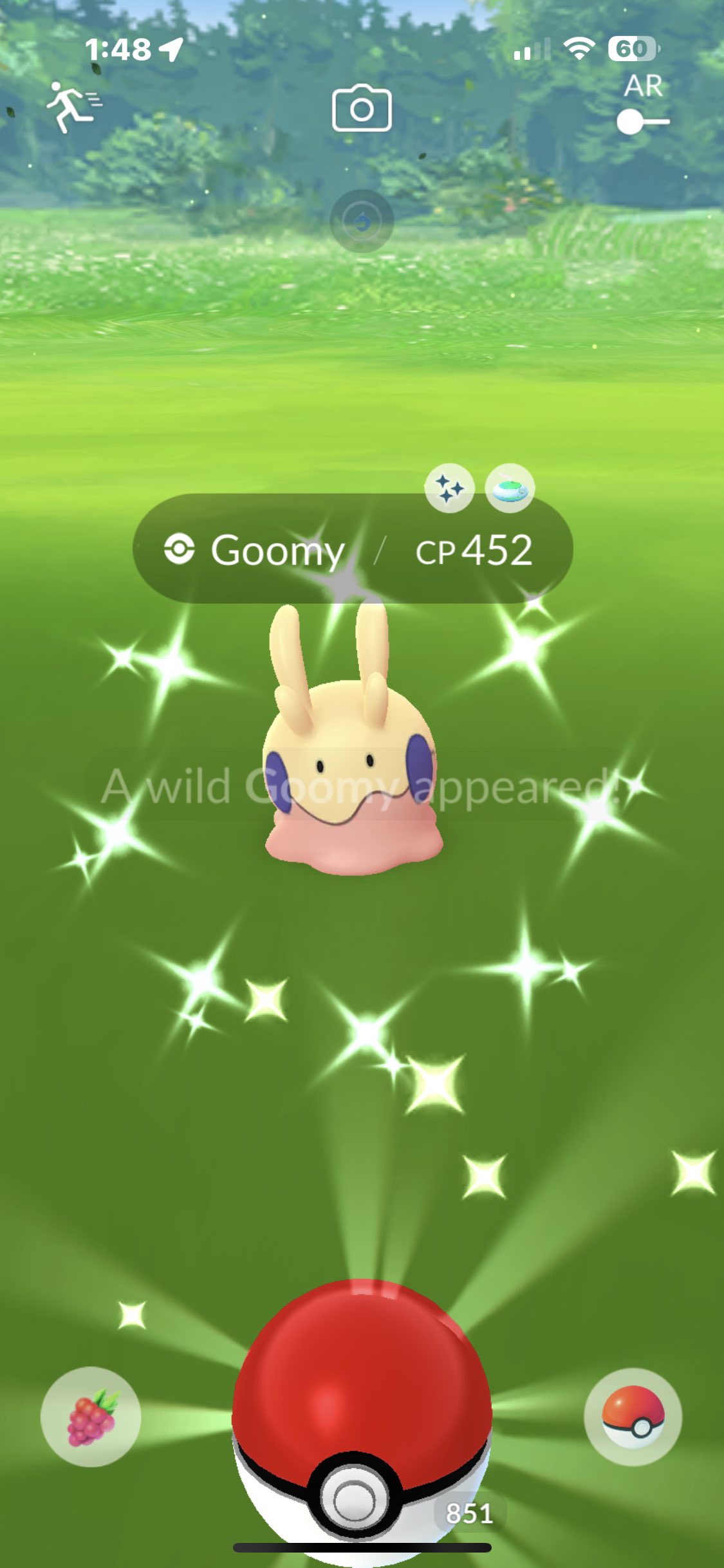 Shiny Goomy
