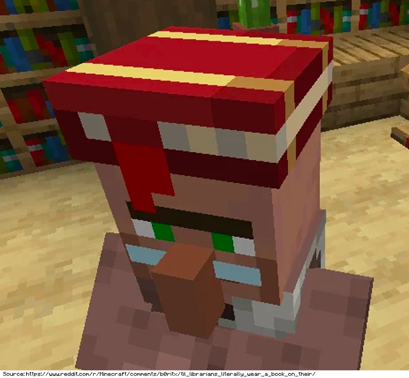 Minecraft Villager Librarian